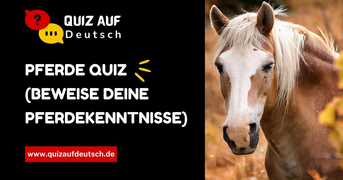 Pferde Quiz